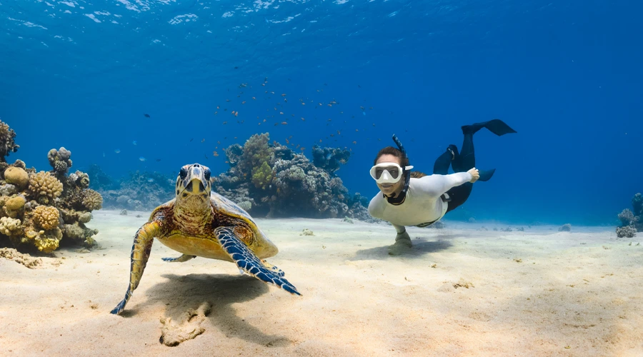 Discover Hidden Ocean Wonders with Tulum Snorkel Tours - SAT Mexico ...